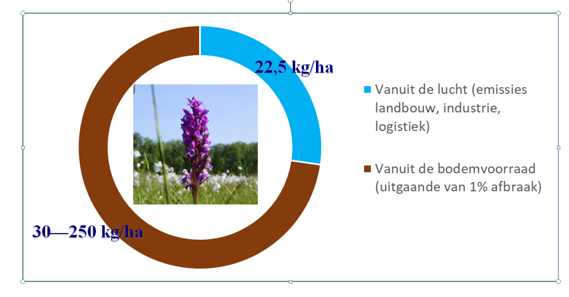 Geesje Rotgers – Stichting Agrifacts
